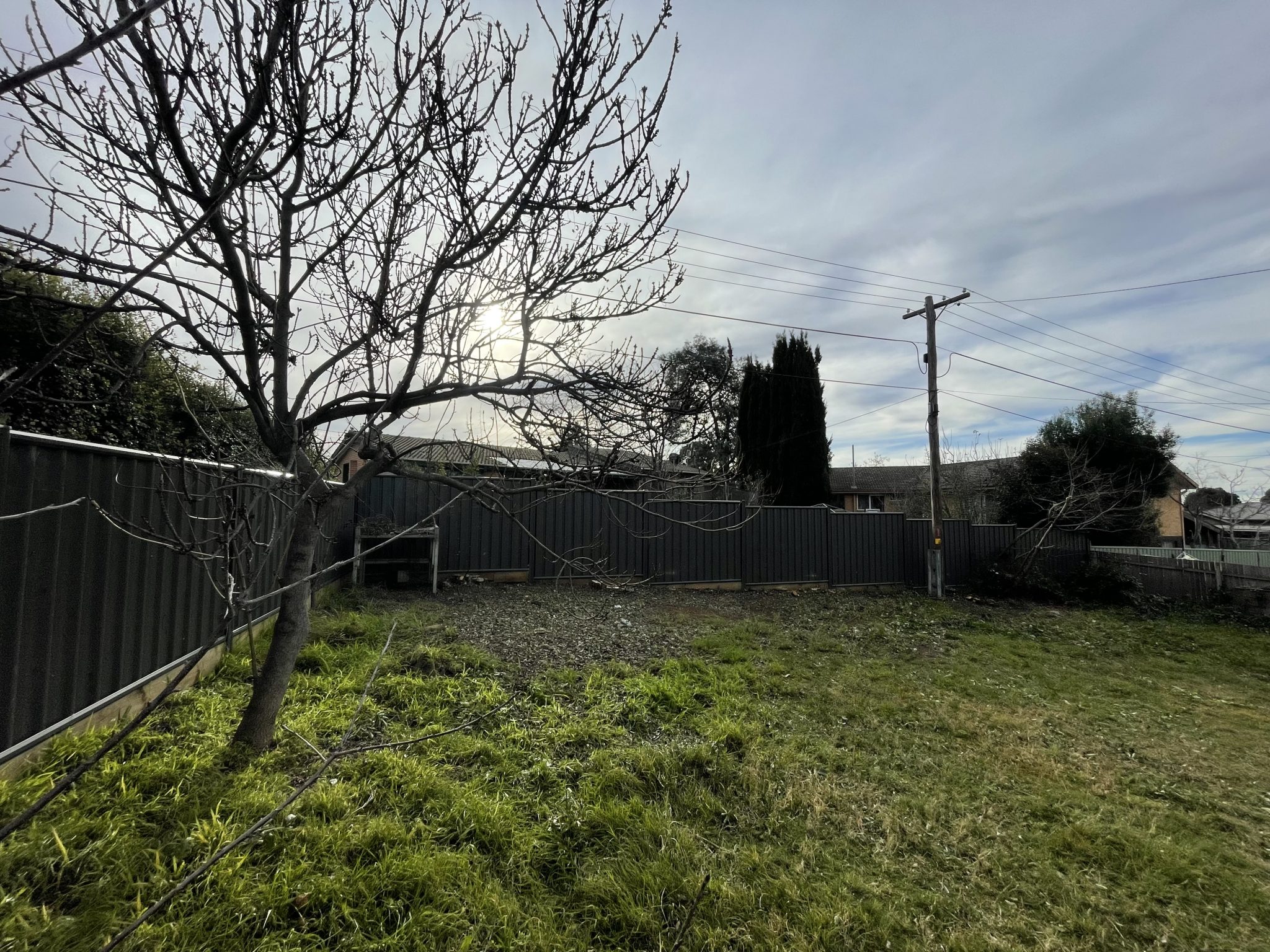 Residential Arborist Canberra - Priority Tree Care