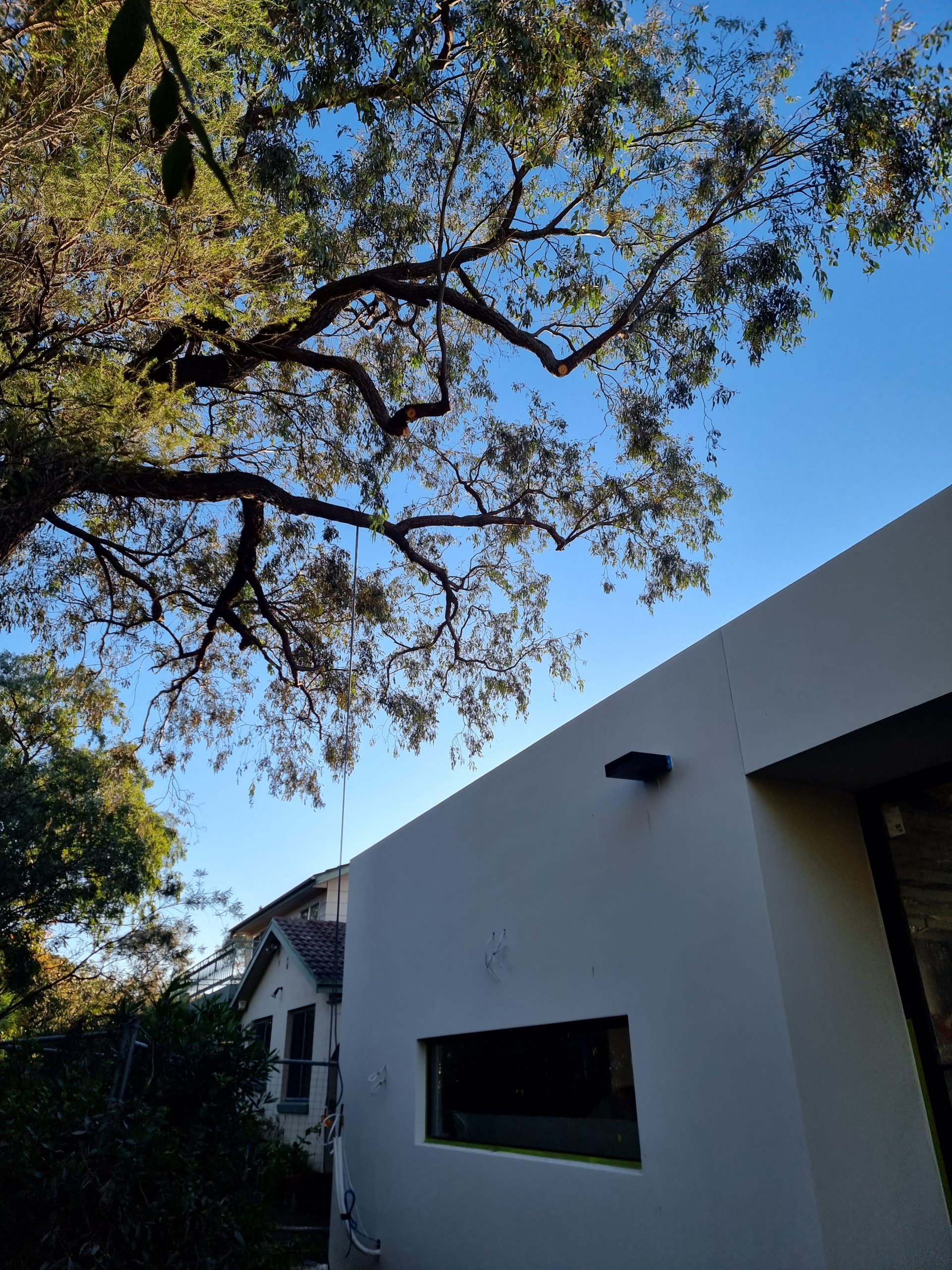 Pruning Canberra - Priority Tree Care